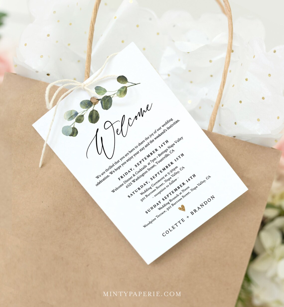 Welcome Bag Tag Welcome Letter and Itinerary Template - Etsy