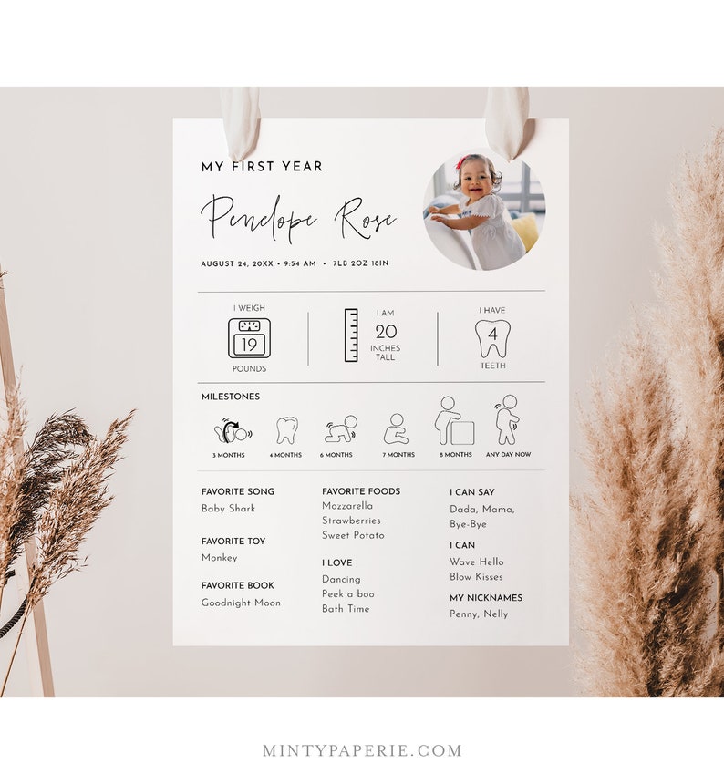 First Year Baby Sign Infographic Baby Stats Poster 1st - Etsy