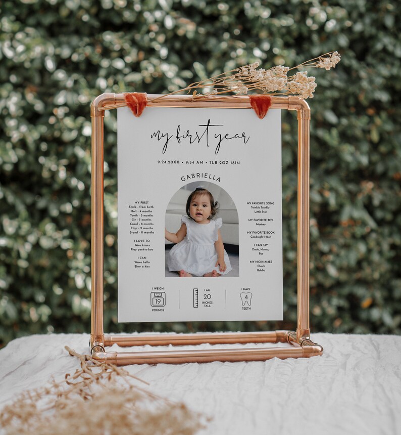 1st Year Baby Sign, Infographic, Baby Stats, 1st Birthday Party ...