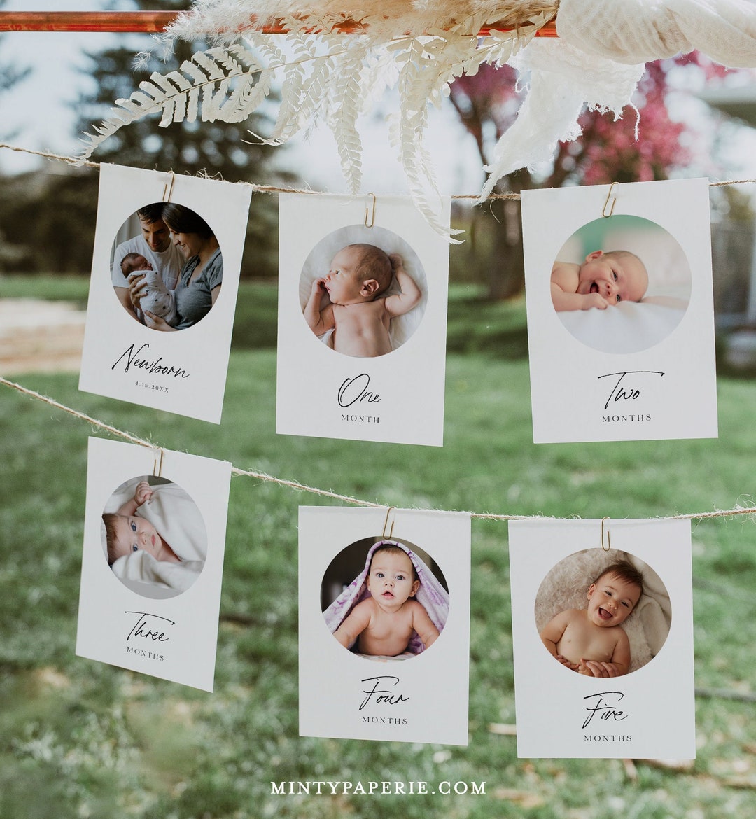 First Year Photo Banner, Baby Photos, 1st Birthday, Monthly Milestones ...