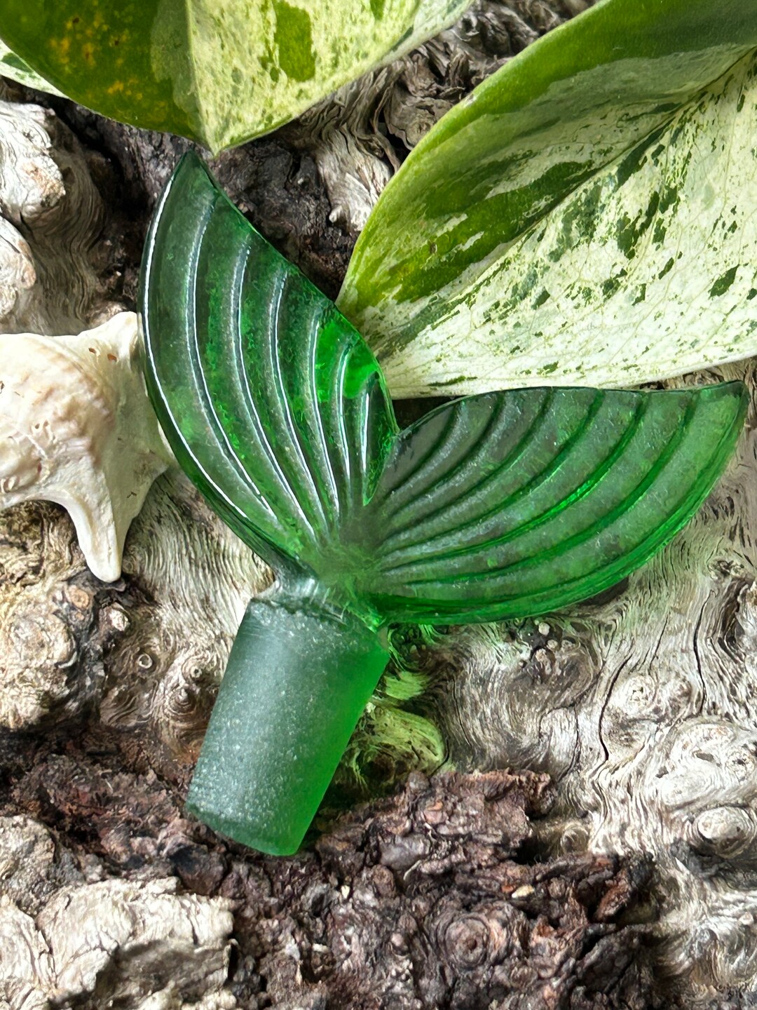 Sea Glass Green Mermaid Tail Stopper Scottish Beach Find Seaglass ...
