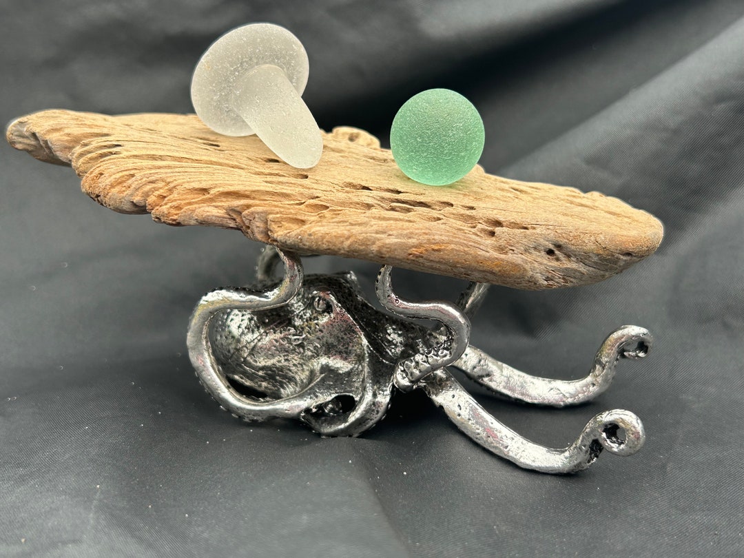 Scottish Beachcombing Finds Octopus Display Coastal Decor Driftwood ...
