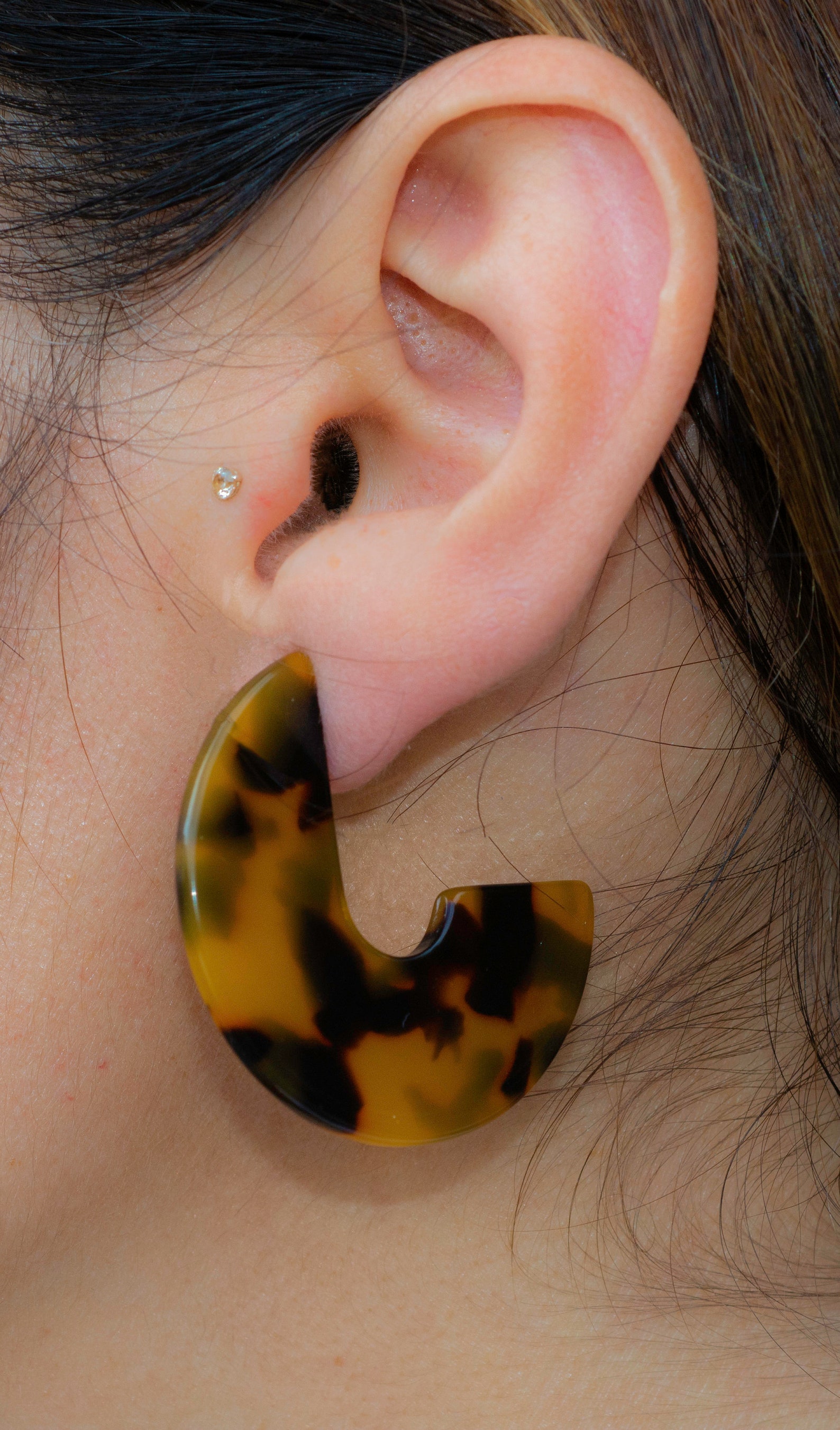 Tortoise Hoop Earrings Tortoise Earrings Acetate Earrings - Etsy