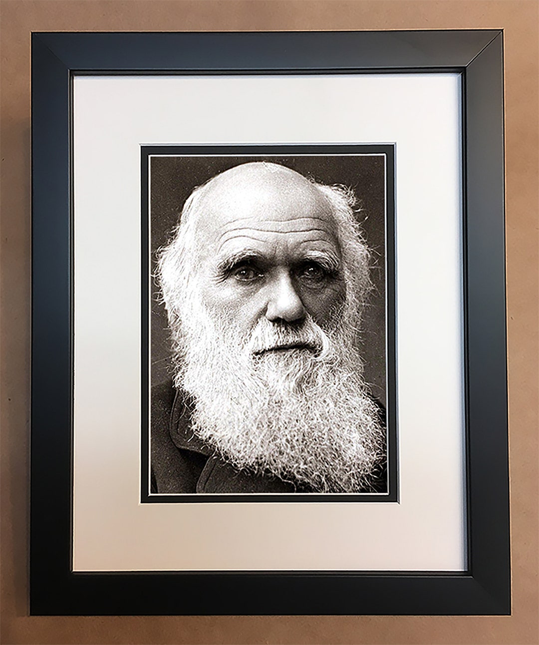 Charles Darwin Photo Professionally Framed Matted 8x10. - Etsy
