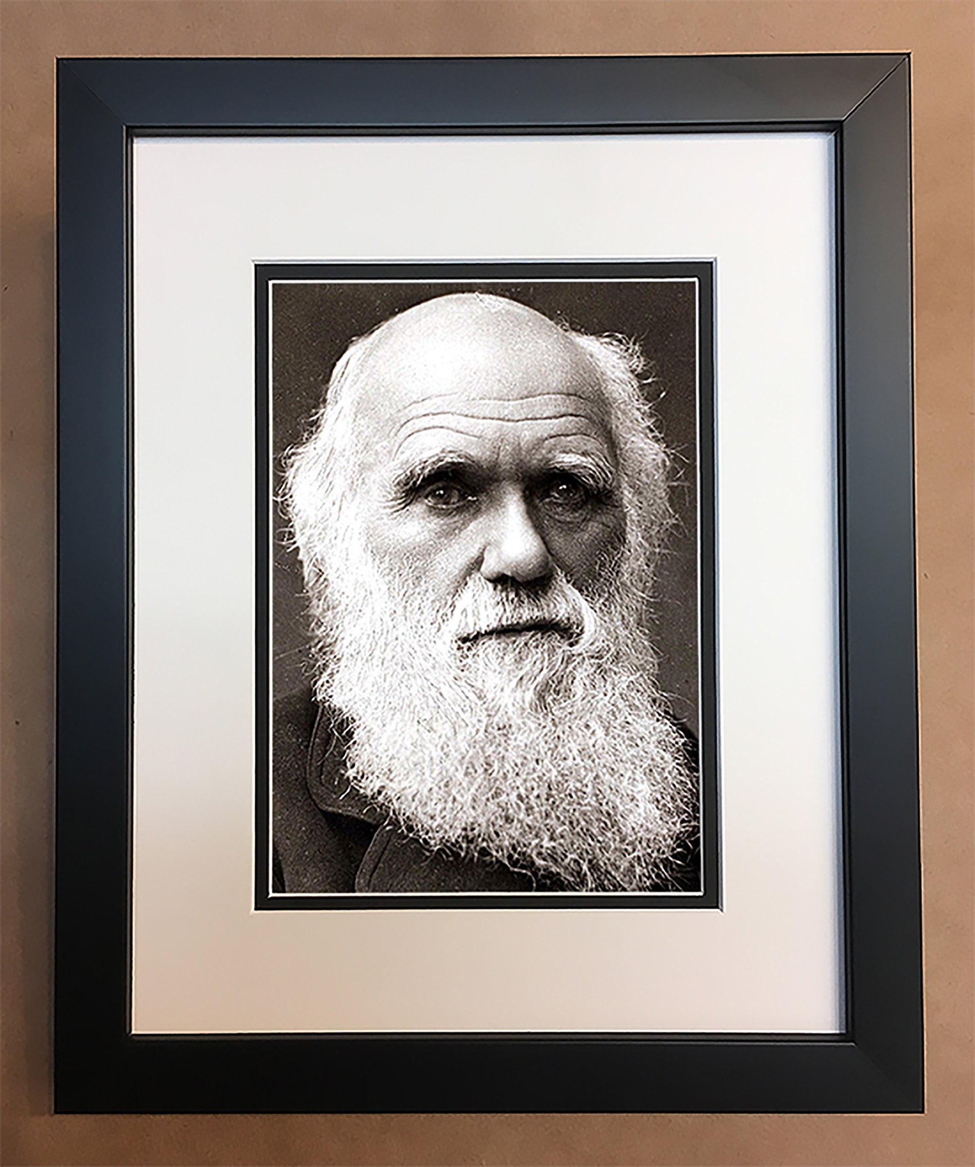 Charles Darwin Photo Professionally Framed Matted 8x10. | Etsy