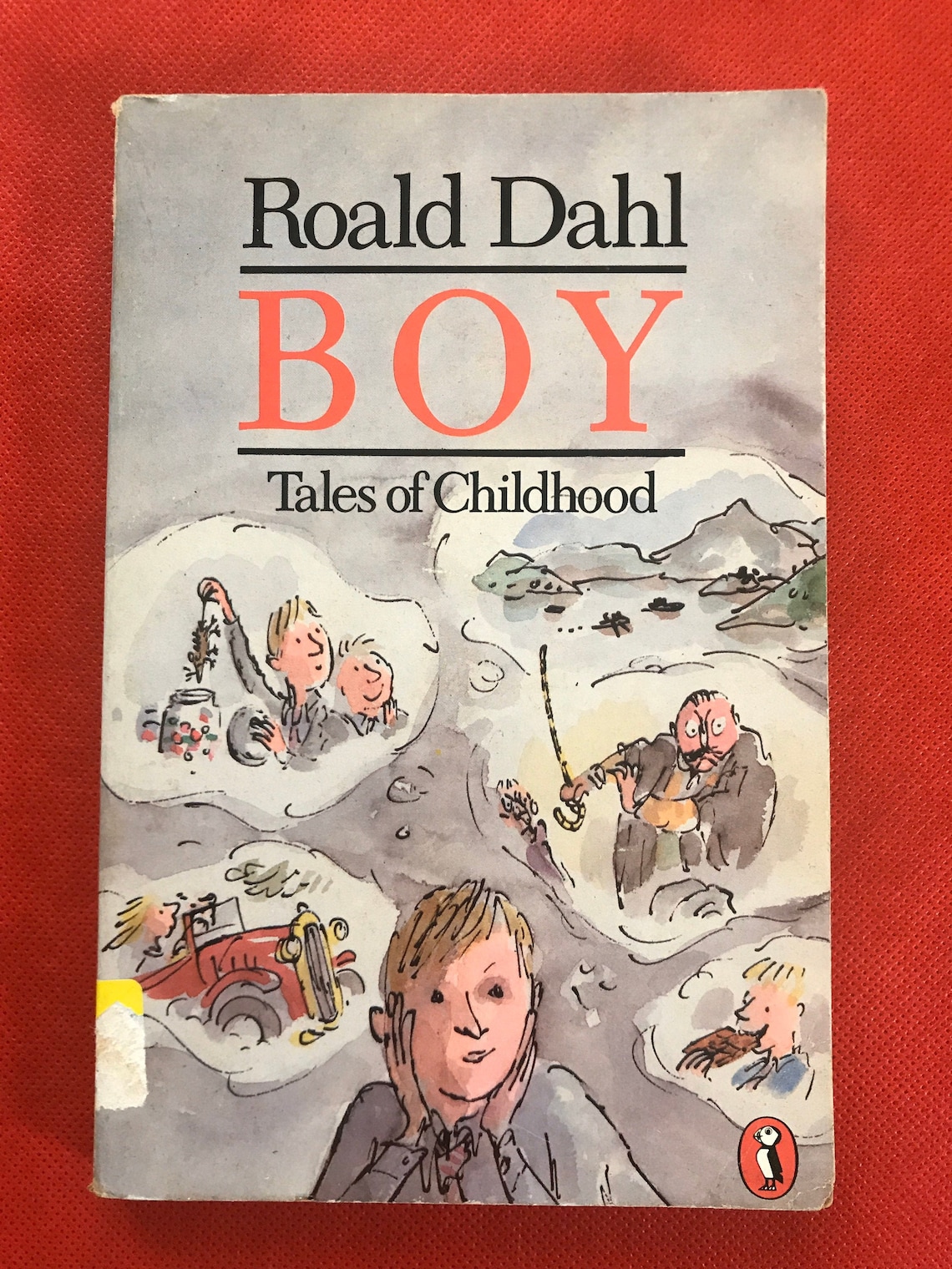 Boy: Tales of Childhood by Roald Dahl Vintage Paperback - Etsy
