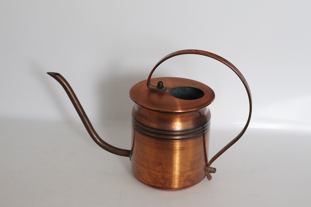 Nice Watering Can for Cacti and Pot Plants, Copper - Etsy