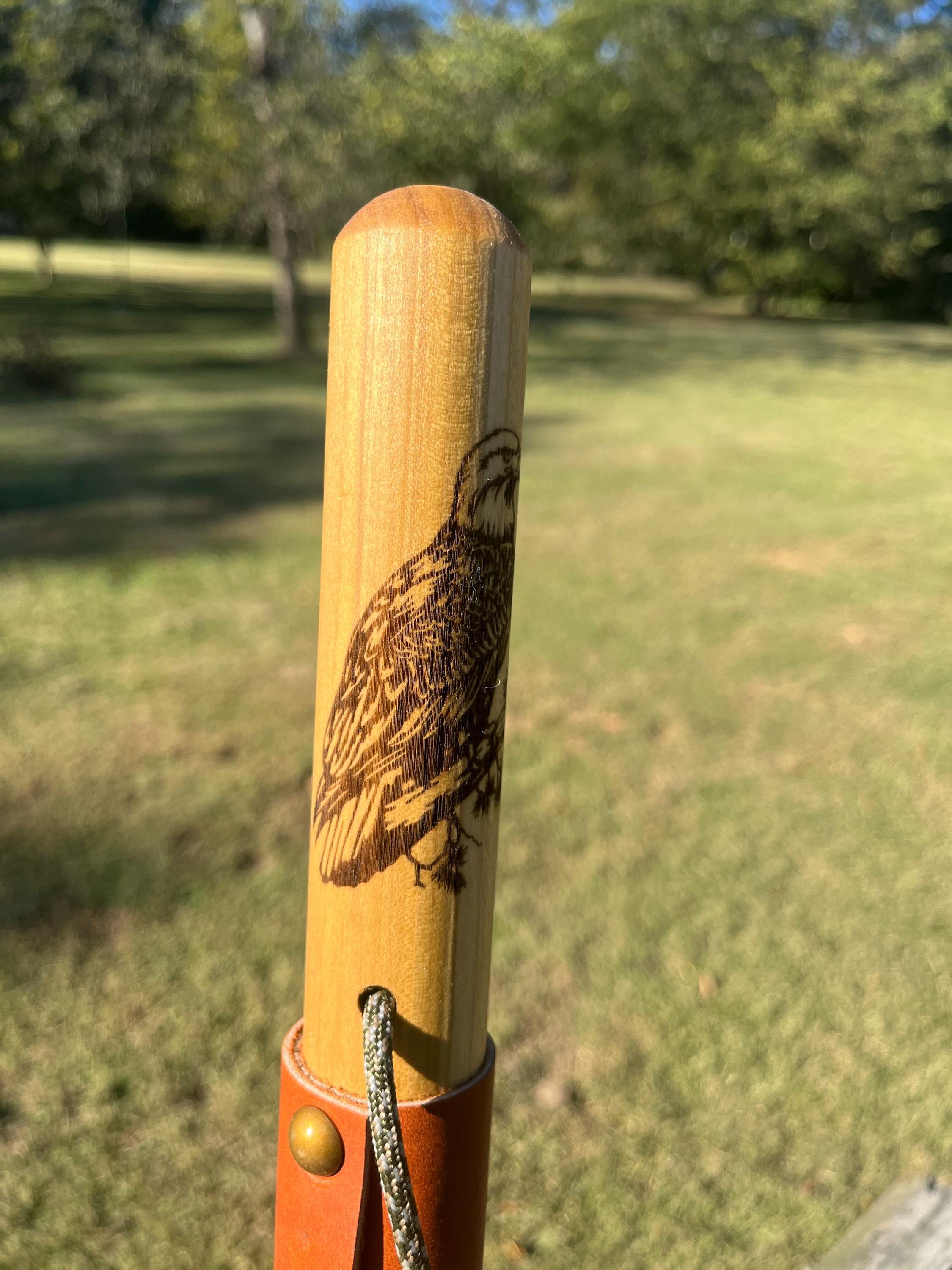 Bald Eagle, Natural Earth Tones Walking Stick, Hiking Staff, Handmade ...