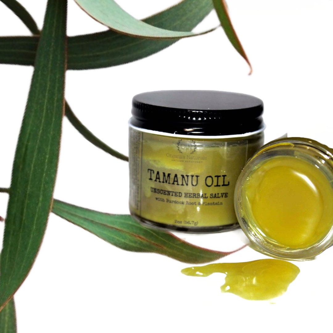 Tamanu Salve With Plantain and Burdock Root | Unscented - Etsy