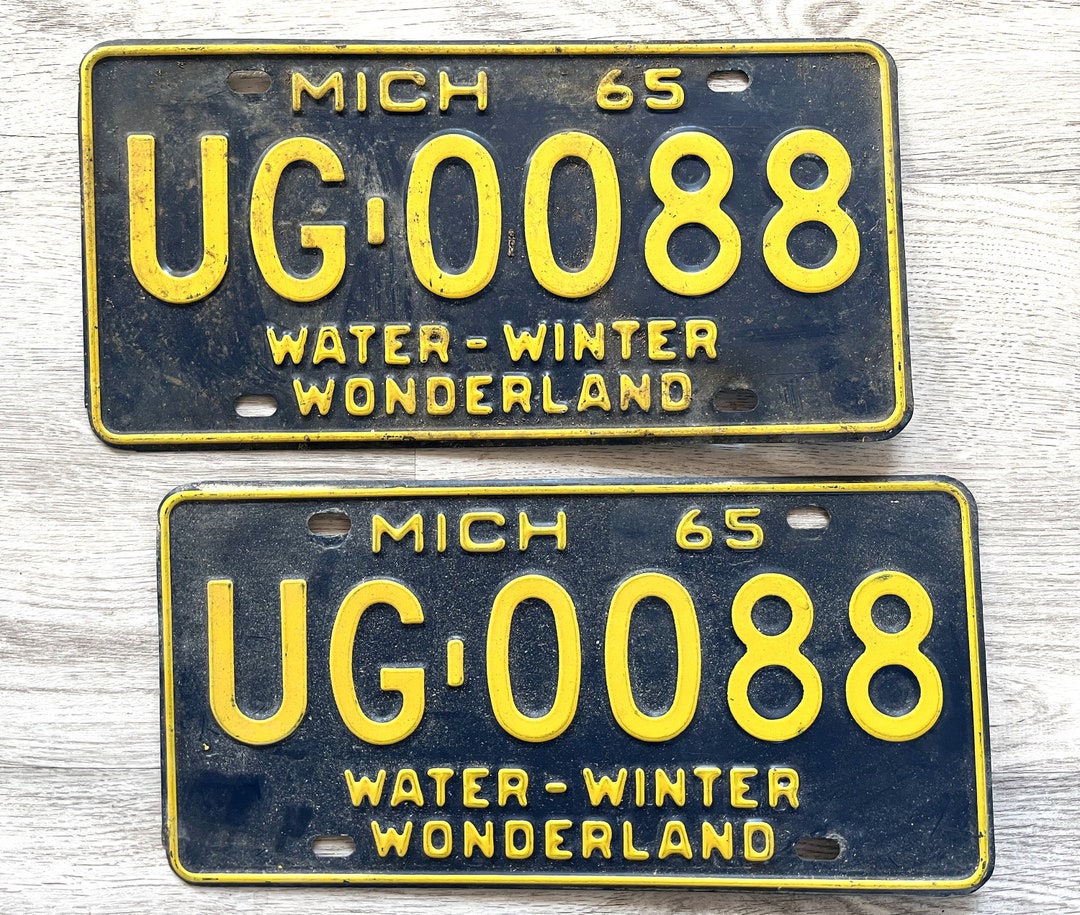 1965 Michigan Water Winter Wonderland License Plate Plates Matching ...
