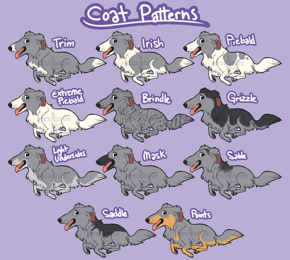 Are Silken Windhounds Easy Pets