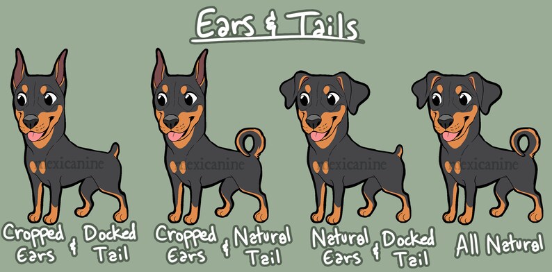 Doberman Pinscher Sticker Dobermann Chibi Puppy Dog Vinyl - Etsy