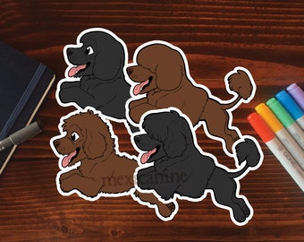 Portuguese Water Dog | Etsy