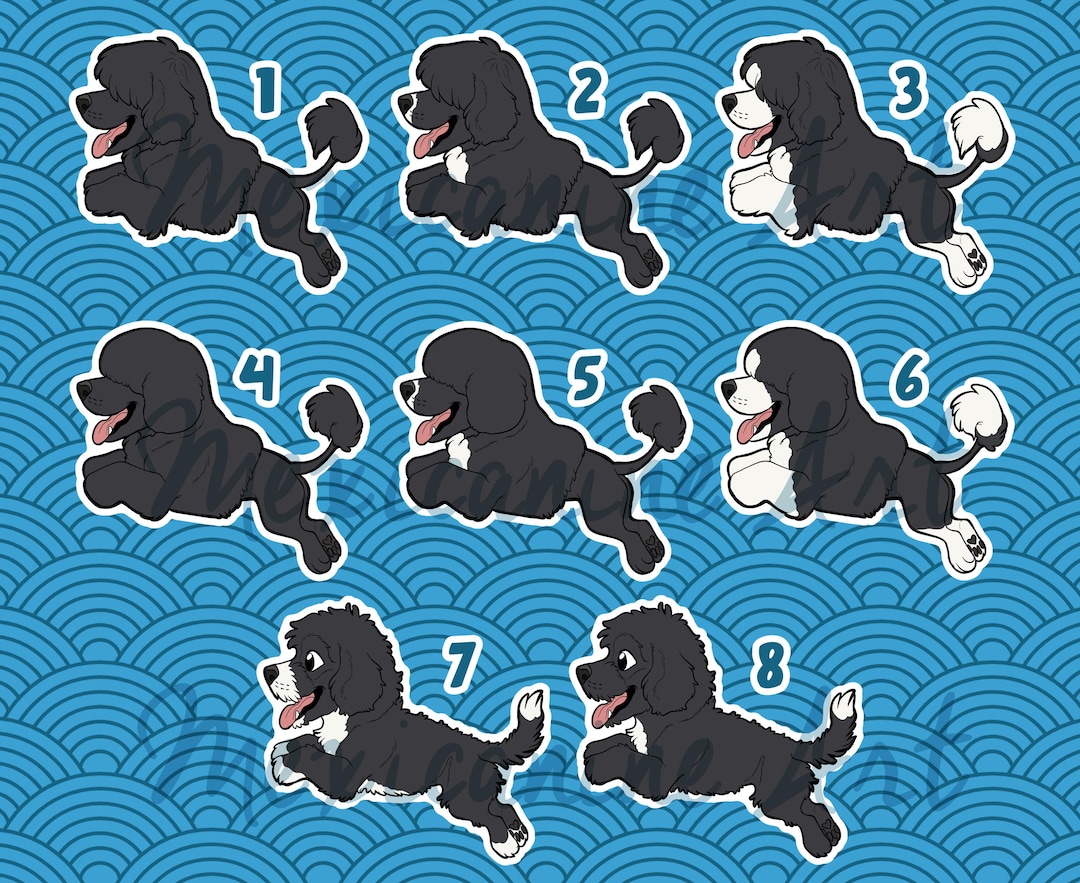 Portuguese Water Dog Sticker || PWD Chibi Puppy Dog, Vinyl, Hand Drawn ...