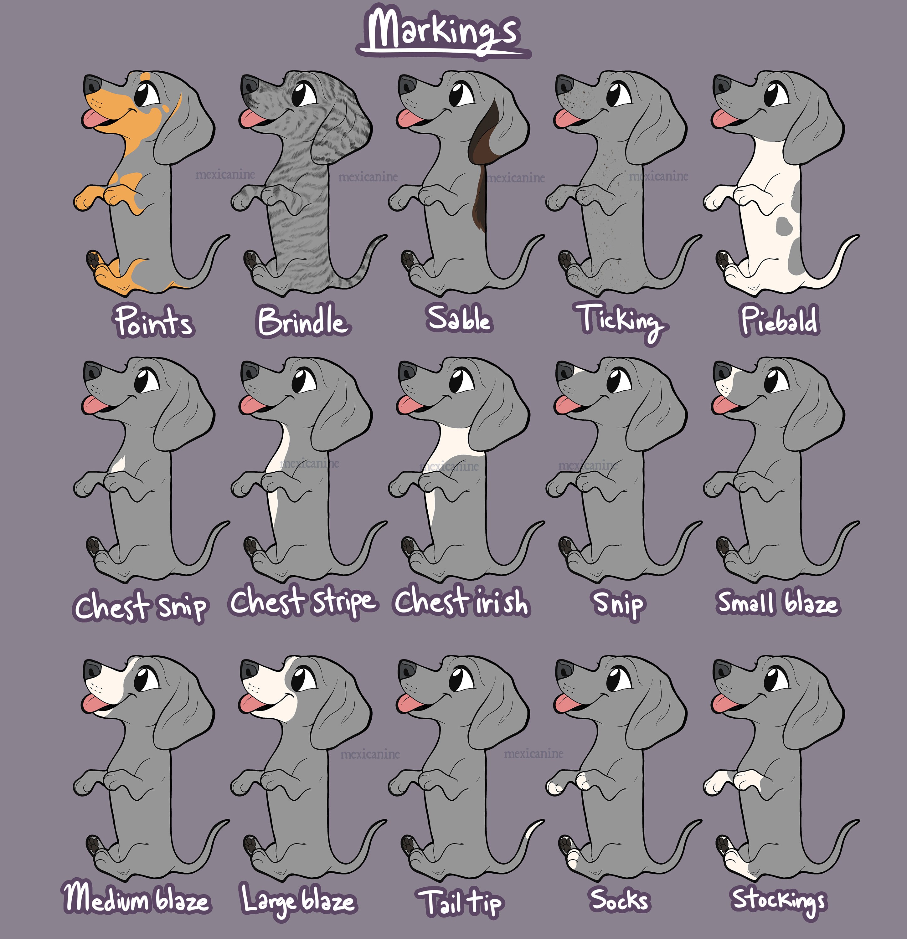 Dachshund Sticker Doxie Chibi Puppy Dog Vinyl Hand Drawn - Etsy