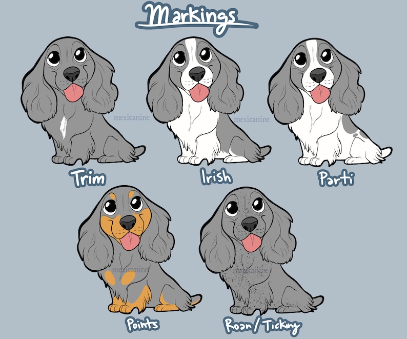 Spaniel Sticker English Cocker Field Springer Chibi - Etsy