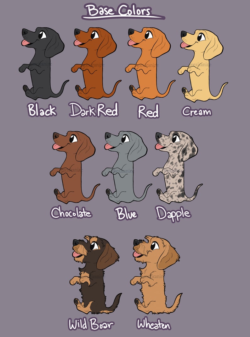 Dachshund Sticker Doxie Chibi Puppy Dog Vinyl Hand Drawn - Etsy
