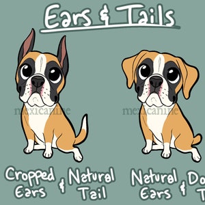 Boxer Dog Sticker Chibi Puppy Dog Vinyl Hand Drawn - Etsy