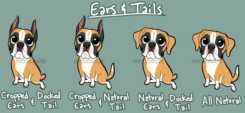 Boxer Dog Sticker Chibi Puppy Dog Vinyl Hand Drawn - Etsy