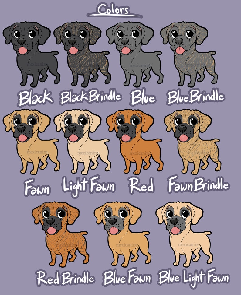 Cane Corso Sticker Chibi Puppy Dog Vinyl Hand Drawn - Etsy