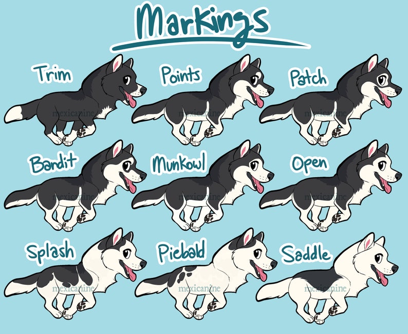 Siberian Husky Sticker Chibi Puppy Dog Vinyl Hand Drawn - Etsy