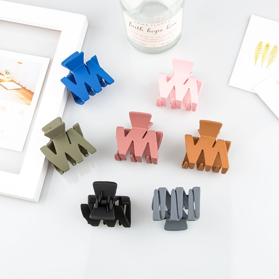 2pcs/lot Simple Back of the Head Dish Hair Clip Fashion Temperament ...