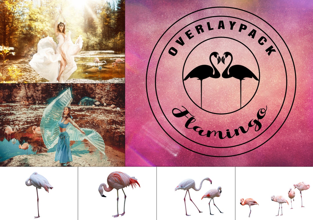 Flamingo 20 Flamingo Overlays - Etsy