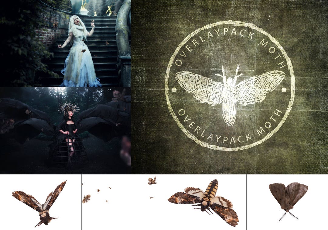 Moth 35 Motten Overlays - Etsy