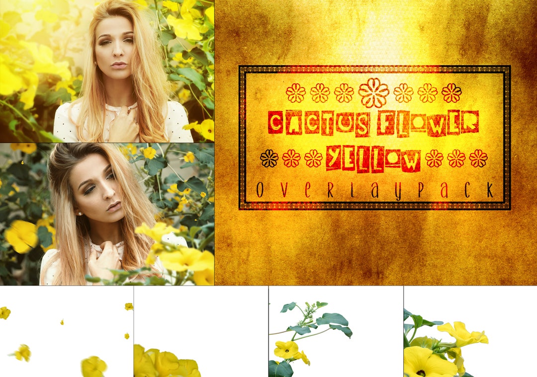 Cactus Flower 20 Kaktusblüten Overlays - Etsy