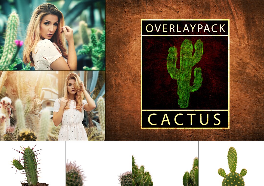 Cactus 60 Kakteen Overlays - Etsy