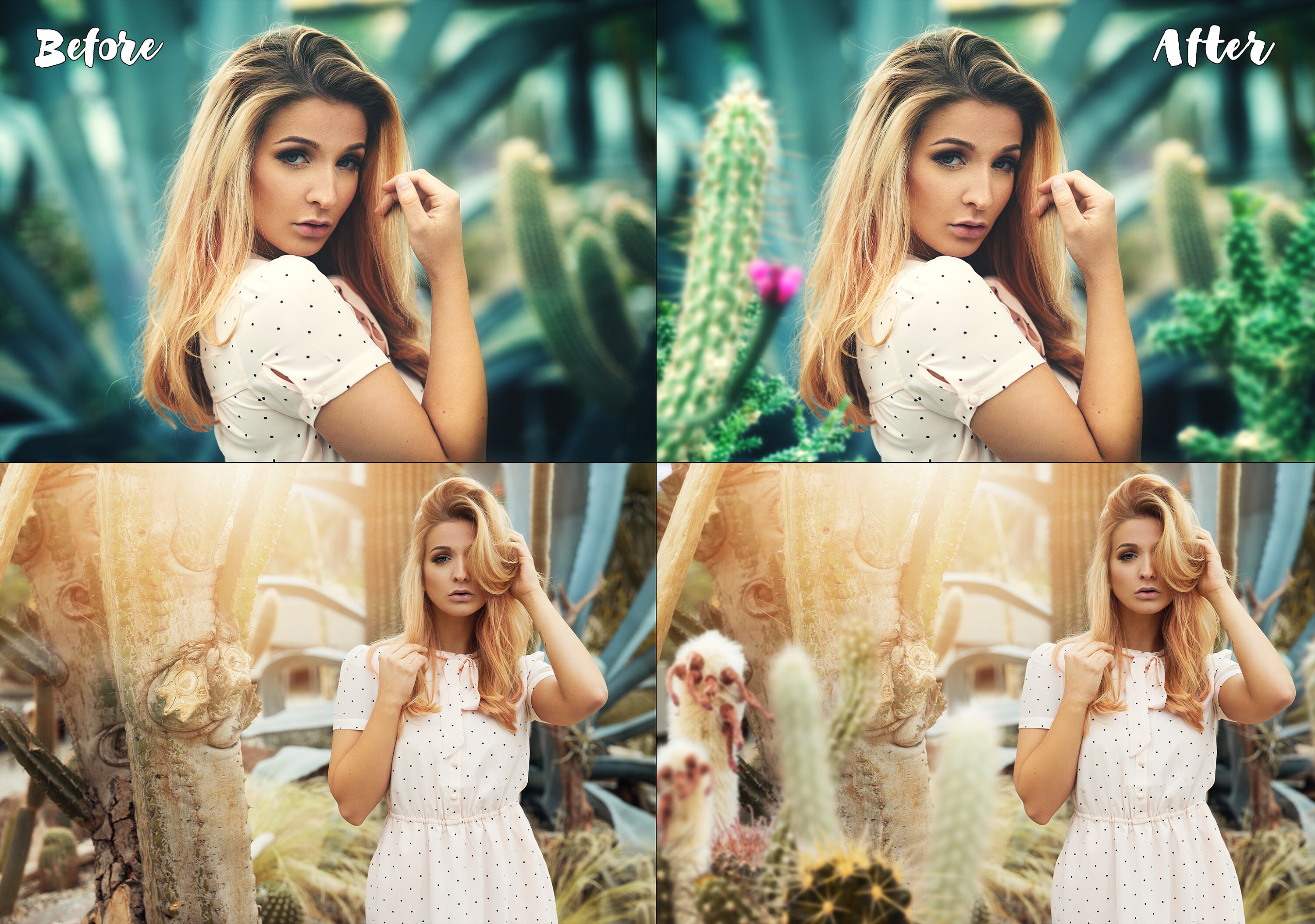 Cactus 60 Kakteen Overlays - Etsy