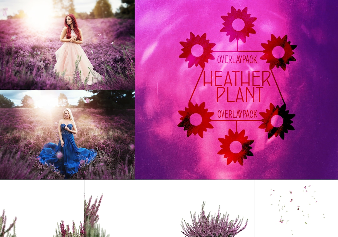 Heather 35 Heide Overlays - Etsy