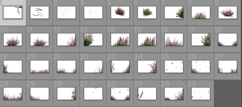 Heather 35 Heide Overlays - Etsy