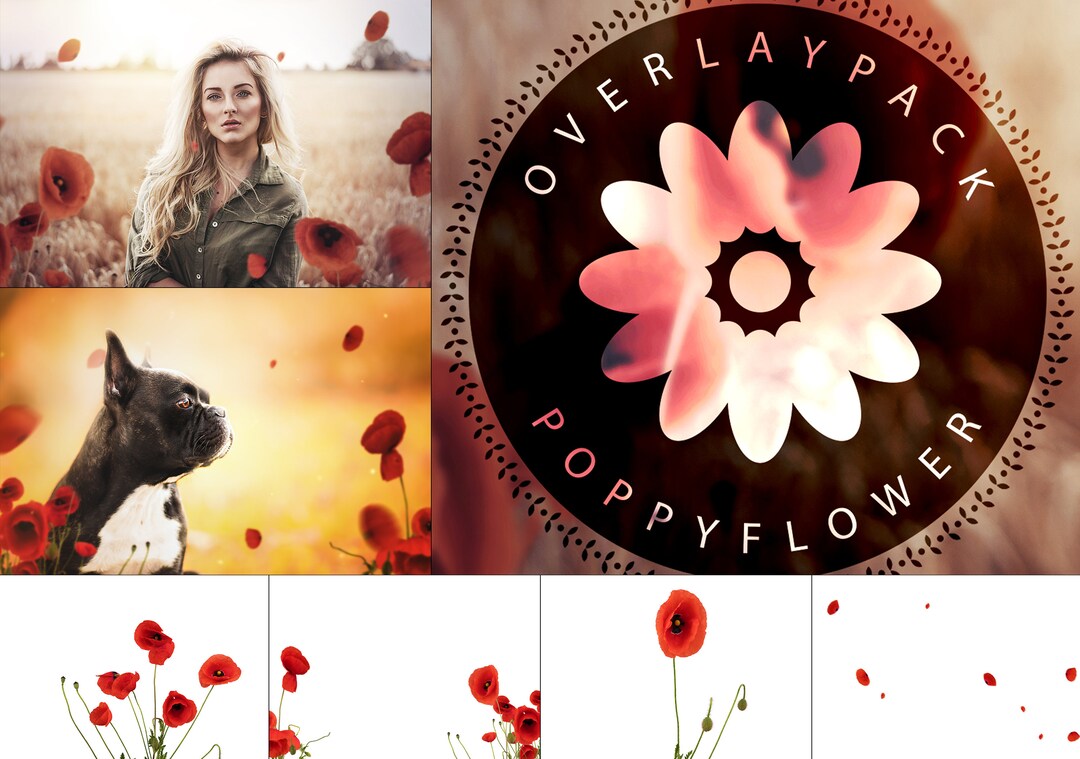 Poppy Flower 30 Mohn Overlays - Etsy