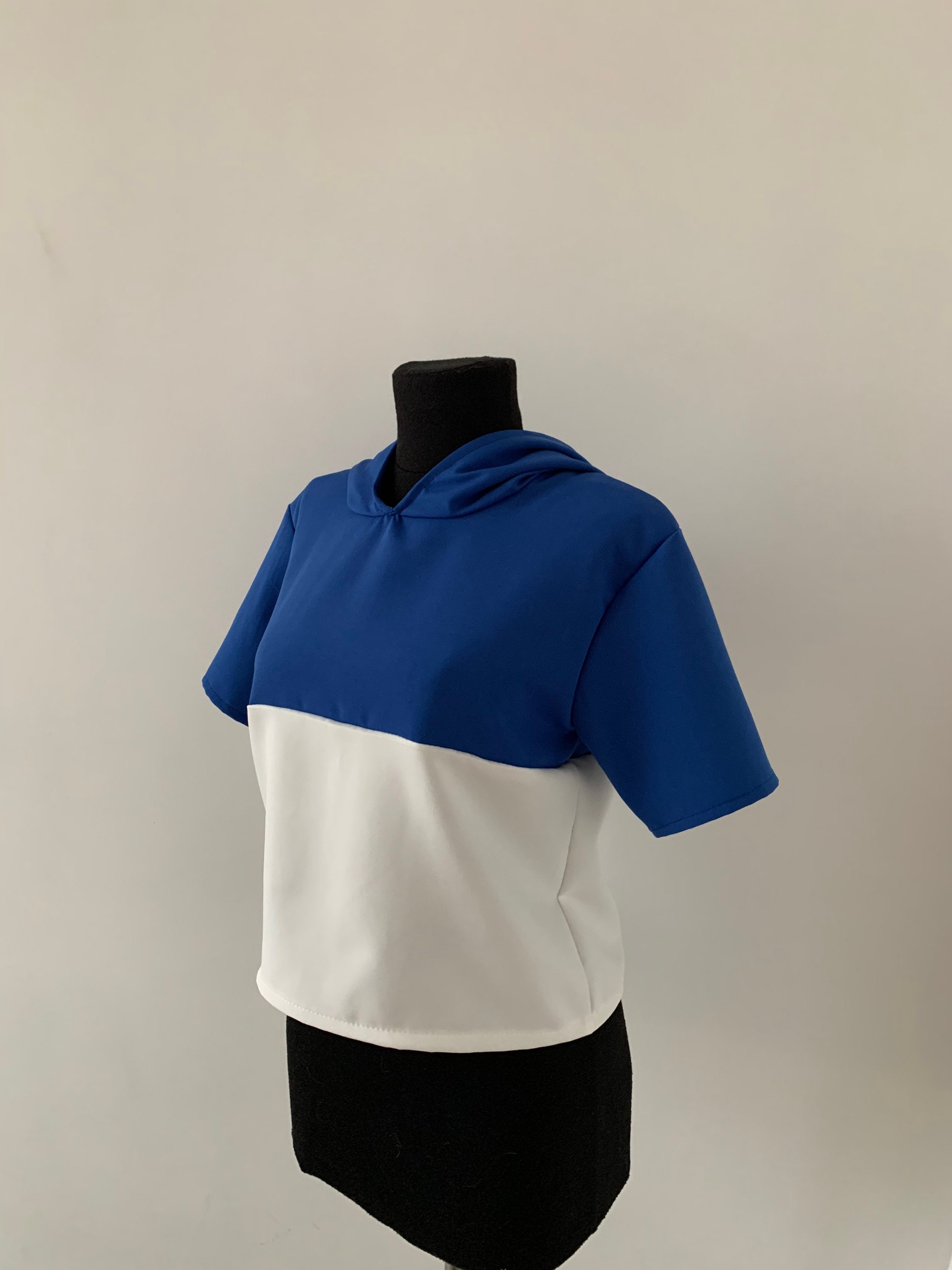 Luz Noceda Inspired Cosplay, Luz Noceda Hoodie, the Owl House Cosplay ...