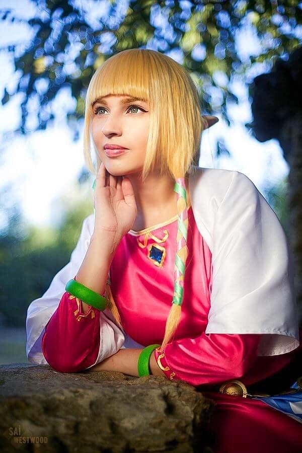 Princess Zelda Skyward Sword Costume