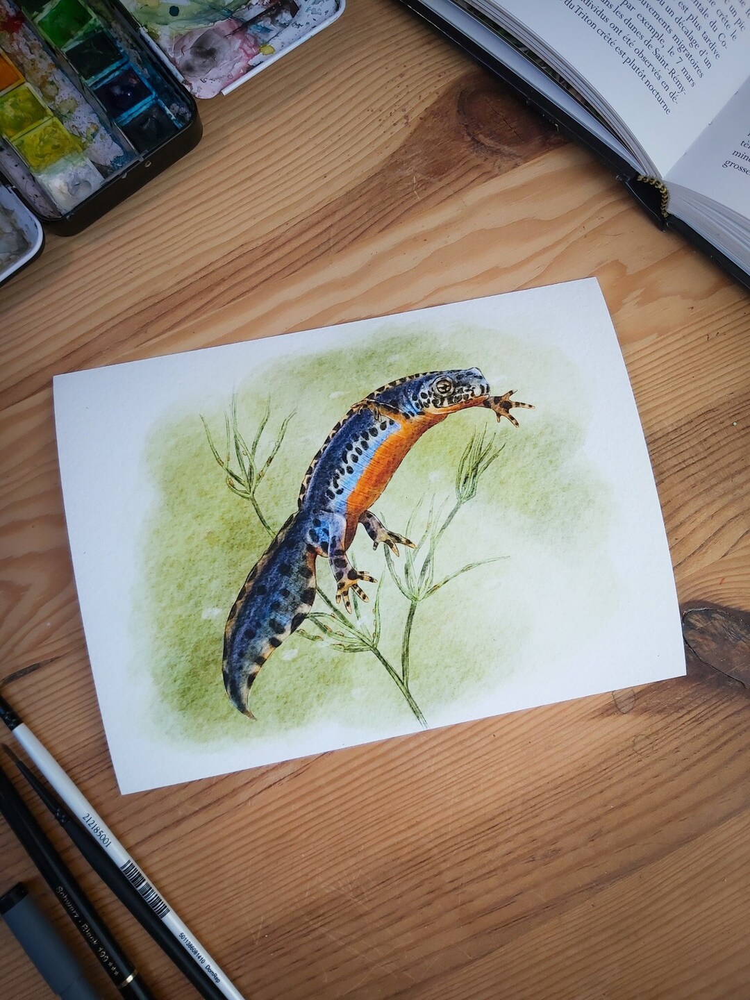 Alpine Newt Art Print/amphibian Print/naturalist Art Print/watercolor ...