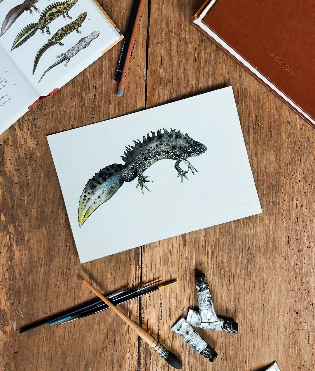 Watercolor Crested Newt/amphibian Watercolor/newt Painting/naturalist ...