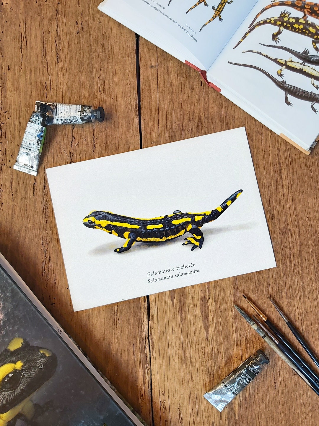 Salamander Print/salamander Art Print/salamander Print/salamander ...