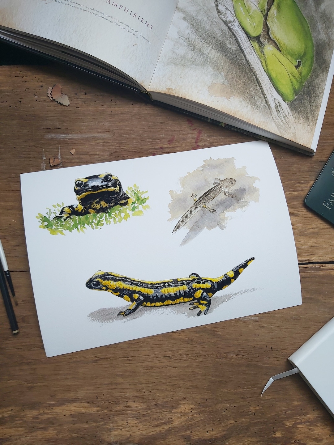 Salamander Watercolor/spotted Salamander Art Print/salamander Portrait ...