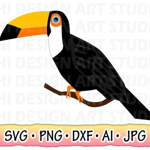Toucan SVG, Toucan Bird Png, Tropical Birds Svg, Cut Files for Cricut ...