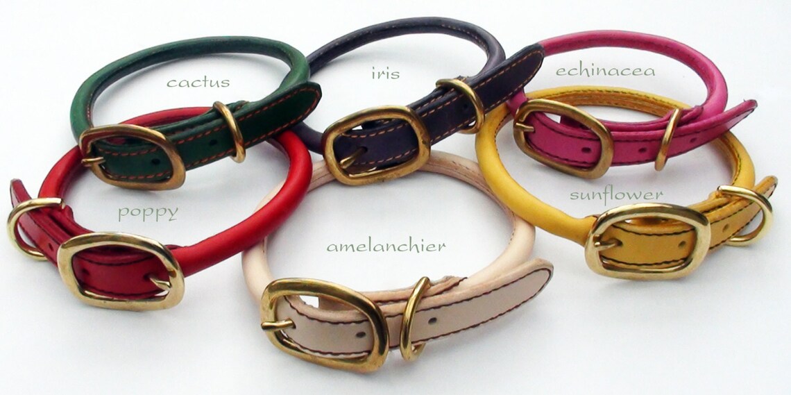 Rolled leather poodle dog collar | Etsy