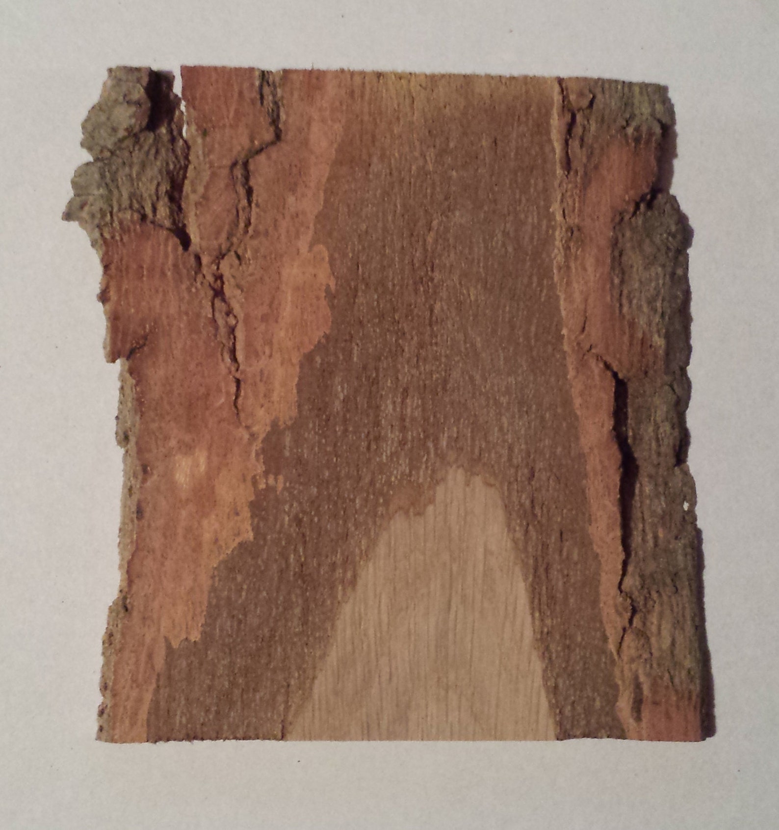 Live Edge Extreme Rustic Solid Oak Log Switch and Outlet - Etsy