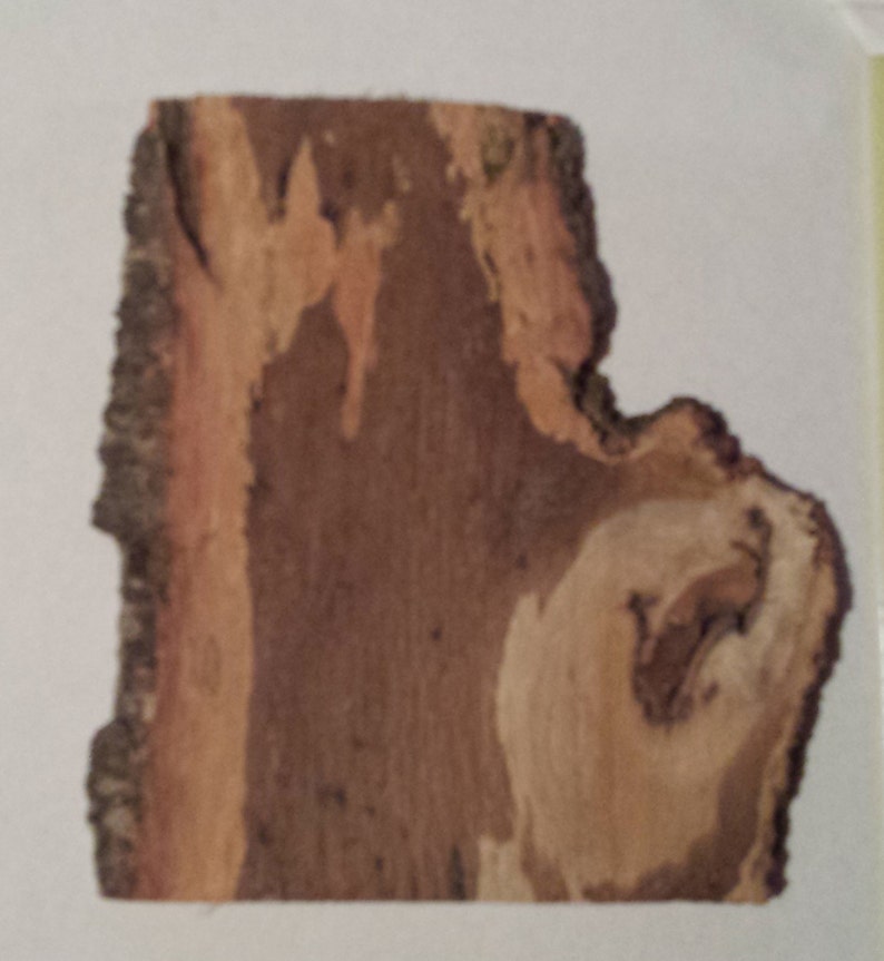 Live Edge Extreme Rustic Solid Oak Log Switch and Outlet Covers - Etsy