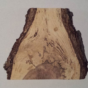 Live Edge Extreme Rustic Solid Oak Log Switch and Outlet Covers - Etsy