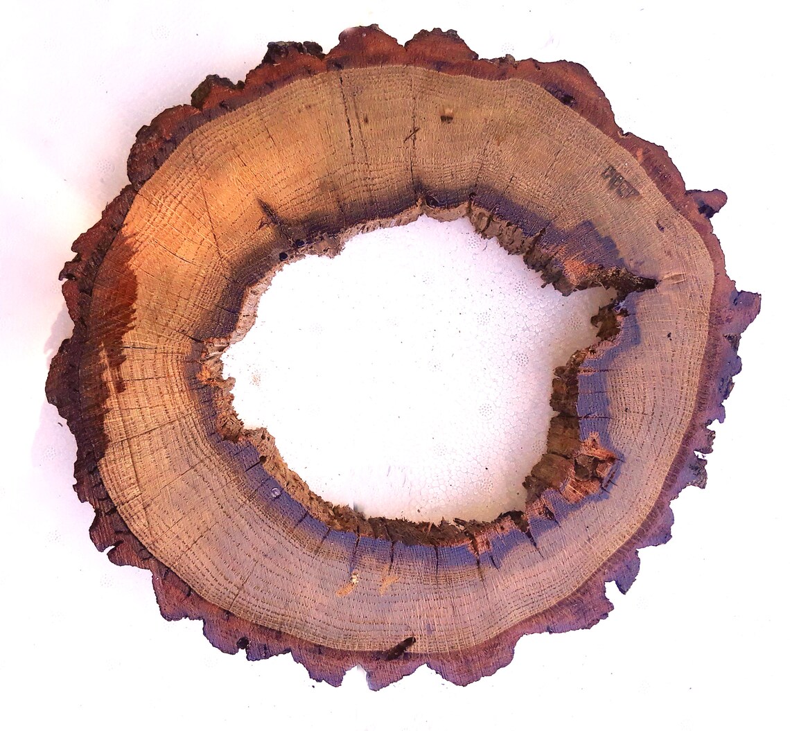 Live Edge Hollow Rustic Solid Oak Log - Etsy