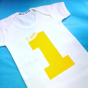 I Am 1-I Am One-personalised Age T-shirt-cake Smash T-shirt-1st ...