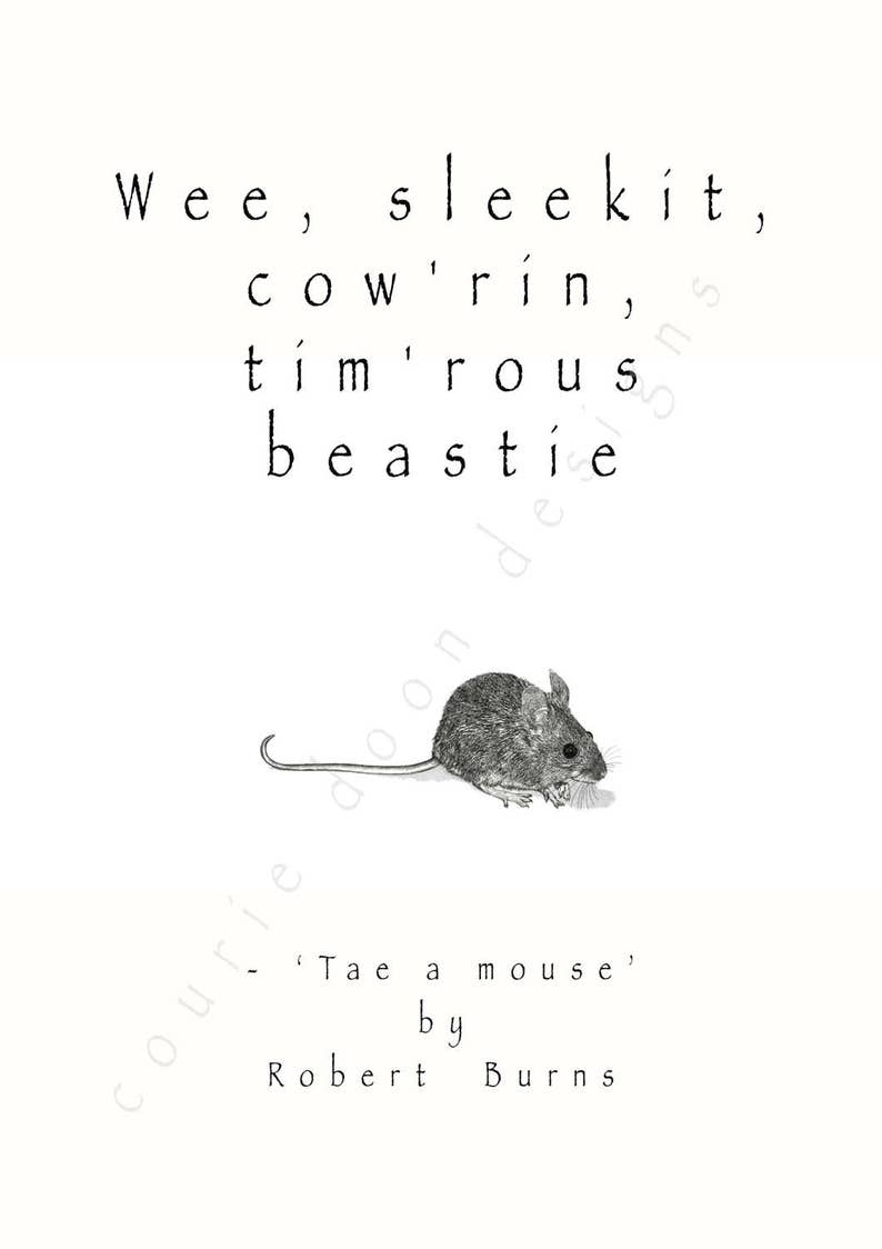 Tae a Mouse, Robert Burns, Rabbie Burns Quote, Art, Animal Art ...