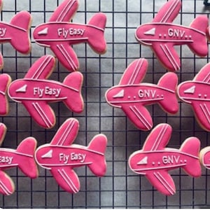Aviation, Airplane Sugar Cookies, Pilot Gift, Baby Shower, Airplane ...