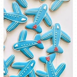Aviation, Airplane Sugar Cookies, Pilot Gift, Baby Shower, Airplane ...